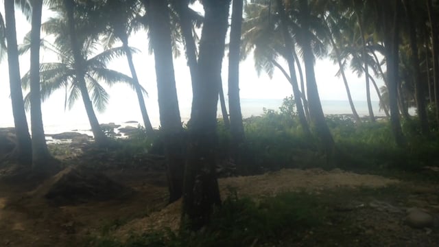 Morgan’s Musings | Summertime Surf